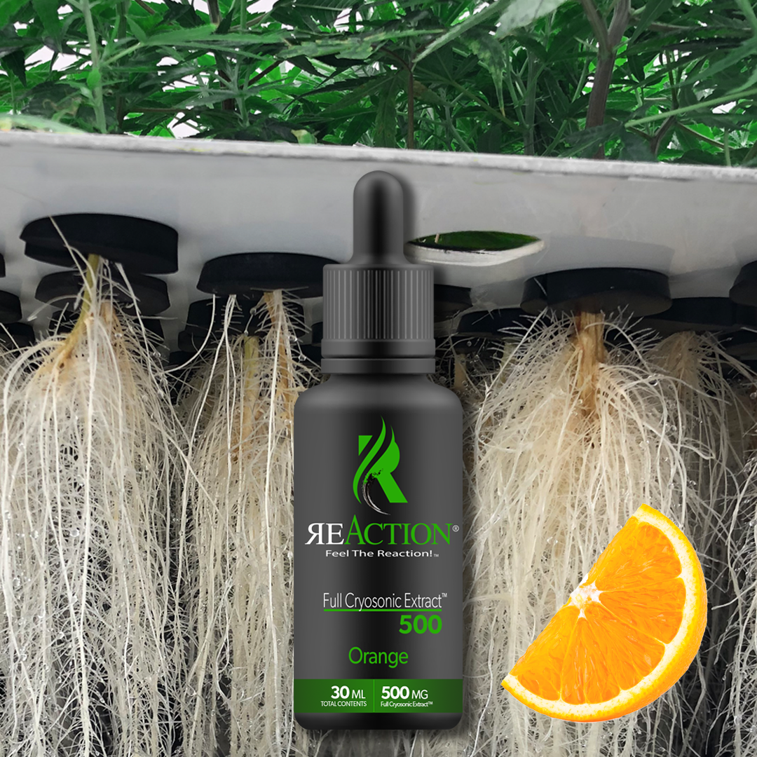 Orange Tincture - 500 – Cryosonic Plant Life Club